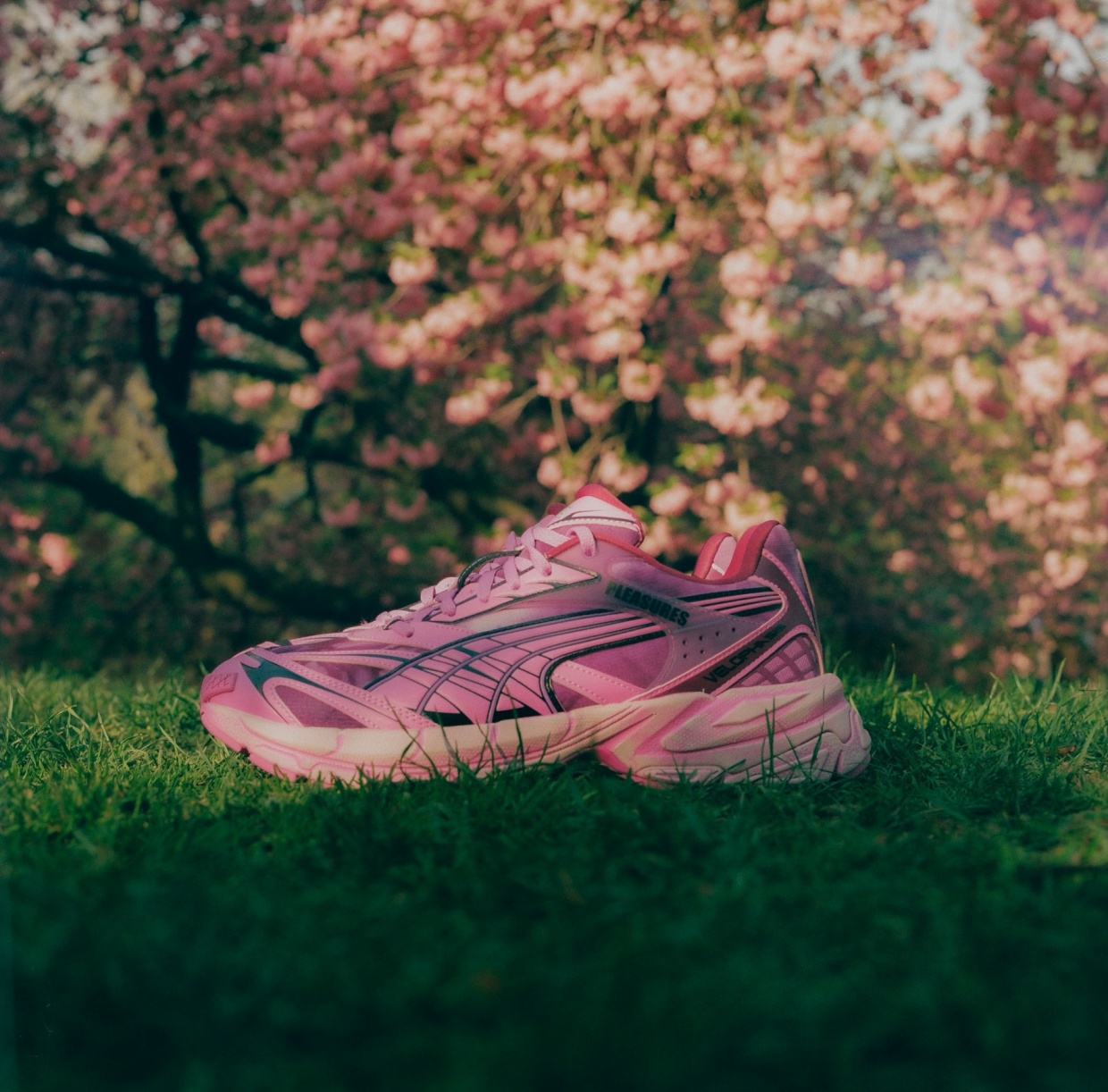 PUMA x PLEASURES announce partnership - Splash PR
